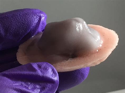 Synthetic Tissue Models For Medical Device Development Cambridge