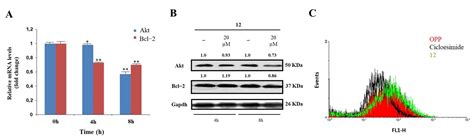 Impairment Of Nucleolin Activity And Phosphorylation By A Trachylobane