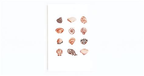 Shell Collage Mysite