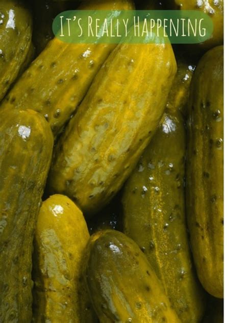 Sonic Nutrition Pickle Slush Besto Blog