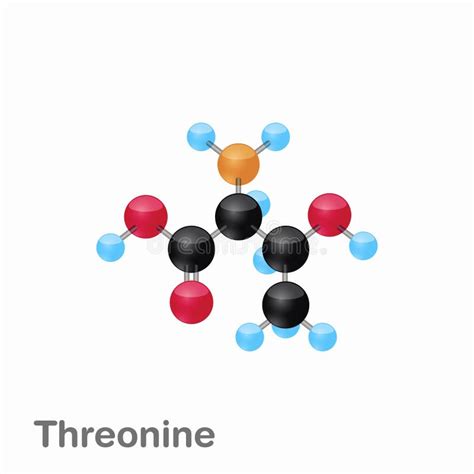 3d Structure Of Threonine Abbreviated As Thr Or T Encoded By T Stock