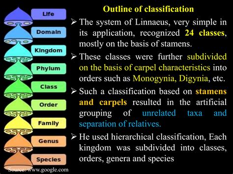 artificial classification system caroluslinneaus 200413113450 pdf