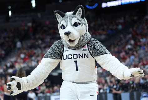 Uconn Huskies Logo Images Uconn Huskies Logo History Actnci
