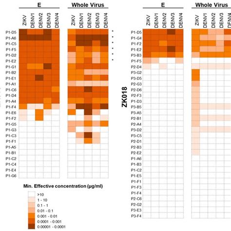 The Recall Zikv Plasmablast Response Is Highly Cross Reactive Against Download Scientific