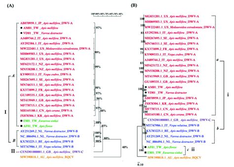 A Homology Tree Constructed Based On The Complete Polyprotein