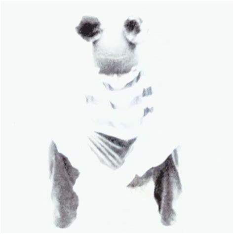 Stream Proxy By Moekit Listen Online For Free On Soundcloud