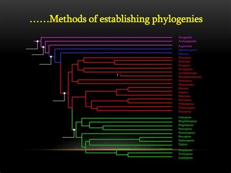 Dna Fingerprinting For Taxonomy And Phylogenypptx