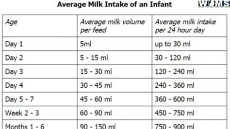 Breastfeeding Calorie Calculator Woms