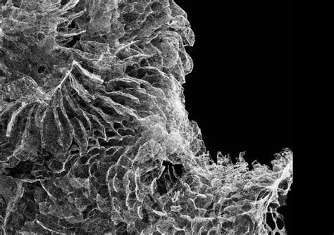 Computational Design — Tectonic Formation Lab