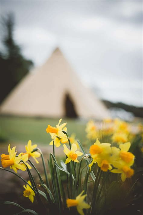 Ziggu Marquees Tipis Sperry Tents Stretch Tents And Clear Span