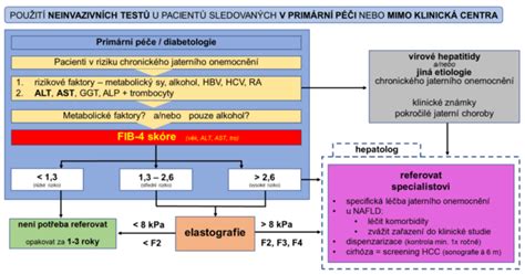 Fib 4 Skóre Krajská Nemocnice Liberec