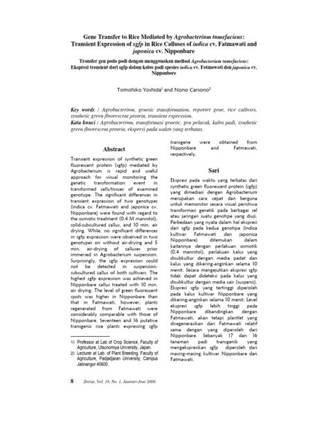 Optimization Of Agrobacterium Pdf Cell Biology Biology
