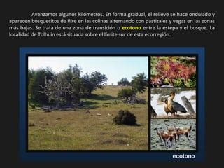 Ecorregiones De Tierra Del Fuego Pps