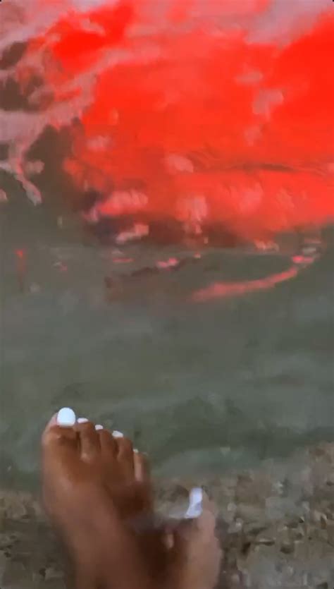 Summer Walkers Feet