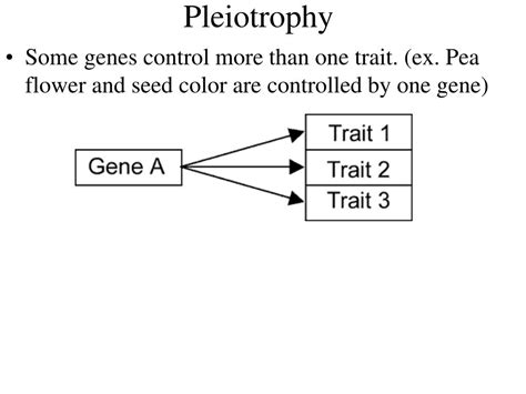 Ppt Non Mendelian Inheritance Powerpoint Presentation Free Download Id3965235