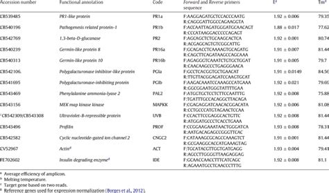 Primer Efficiency Calculation Qpcr At Melvin Thompson Blog