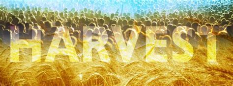 Loving The Nations - The Harvest