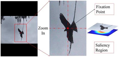 Saliency Map Visualization Process The Center Point Of The Image Shown