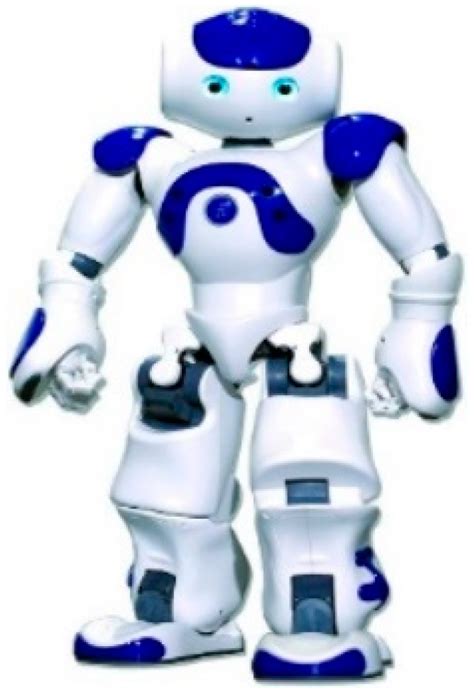 Coordinated Transport By Dual Humanoid Robots Using Distributed Model Predictive Control