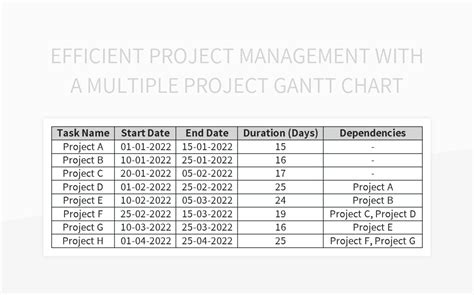 efficient project management system for multiple projects excel