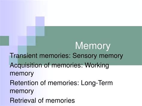 Ppt Memory Powerpoint Presentation Free Download Id1260697