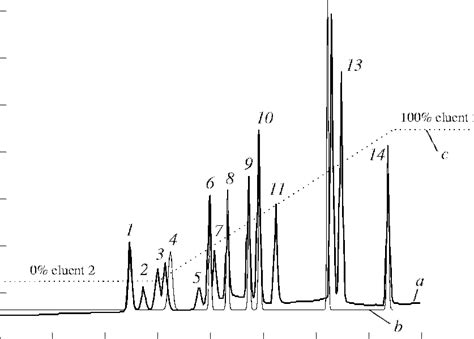 Comparison Between Calculated And Experimental Chromatograms For The