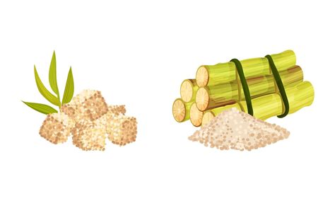 Tied Sugarcane Fibrous Stalk And Pile Of Cubes Set 66569260 Vector Art At Vecteezy