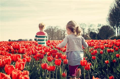 Niños Y Primavera Claves Para Asegurar Su Bienestar