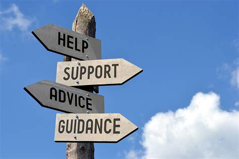 About The Guide