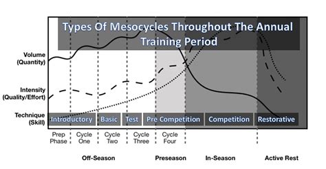 Types Of Mesocycles Throughout The Annual Training Period Macrocycle