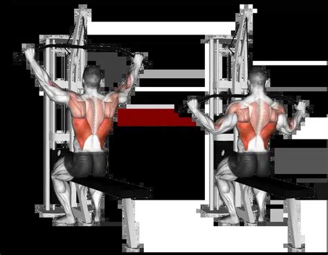 I Never Felt My Lats Work Like This Before Exploring Advanced Lat Pulldown Techniques And