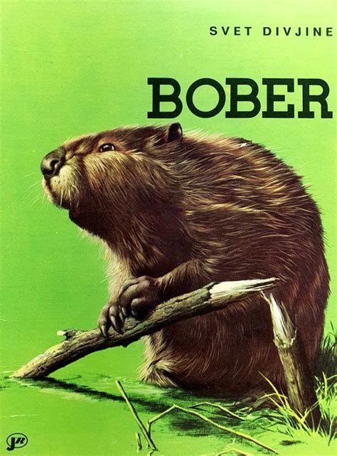 Bober Antikvariatantiqua Si