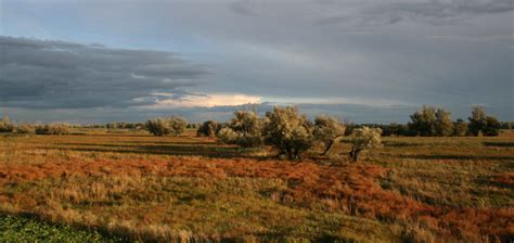 Lokacija Ju Pp Kopački Rit