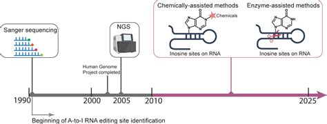 Advances In Detection Methods For A‐to‐i Rna Editing Yang 2025 Wires Rna Wiley Online