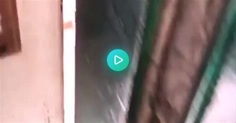 Flomp Album On Imgur