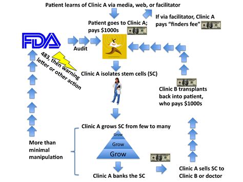 The Interactome Of The Adult Stem Cell Universe The Niche