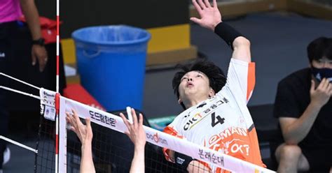 조재성걸렸다 사진