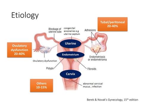 Basic Infertility Rx 17 02 2016