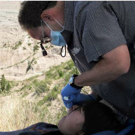 Histogram Of Total Teeth In Adults Download Scientific Diagram