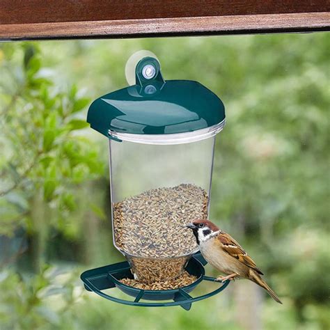 Xgfhyjeh Window Bird Feeder Window Bird Feeders With Strong Suction