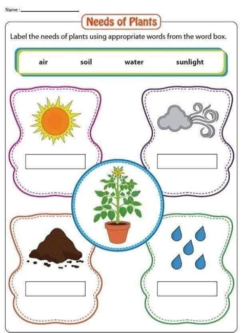 Pin Van Laura Calapeña Op 1º Ciclo Plantas Y Hortalizas Thema Fotografie