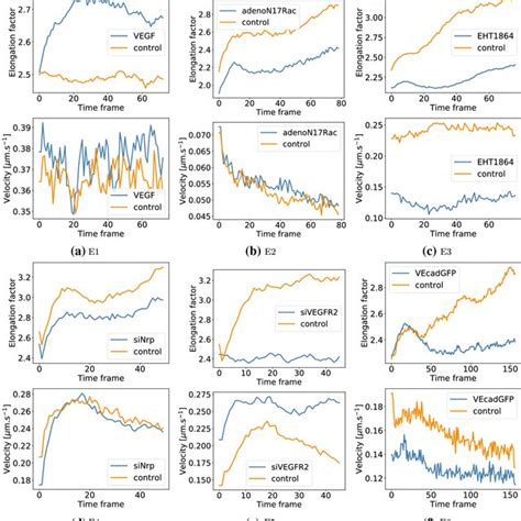 Selected Datasets From The Isbi Cell Tracking Challenge Dic C2dh Hela