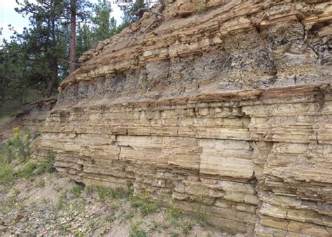 Colorado Fossil Sites At Joseph Auricht Blog