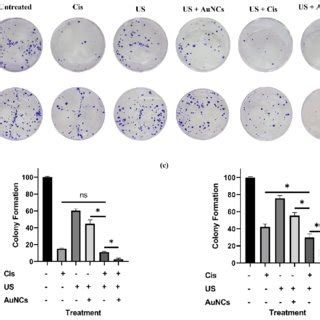 Colony Formation Assay Using A2780a2780cis Was Performed As Described