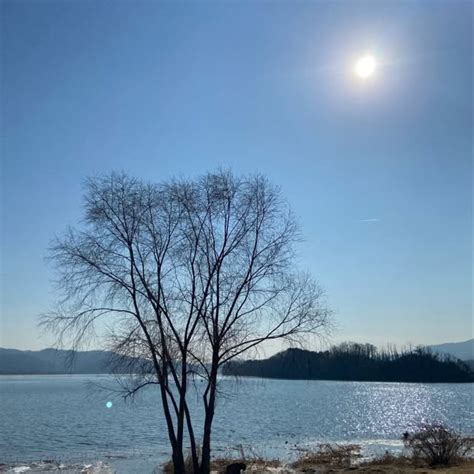 소소한 일상🌻 Eehk • Threads Say More