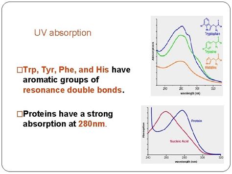Lecture 3 Physical And Chemical Properties Of Proteins