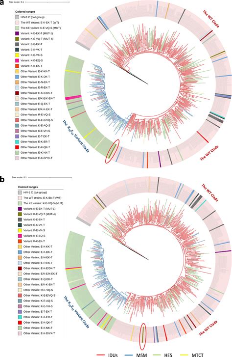 A New Hiv 1 K28e32 Reverse Transcriptase Variant Associated With The