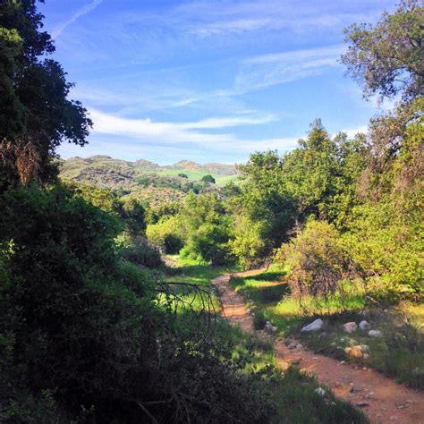 Are Dogs Allowed At Placerita Canyon
