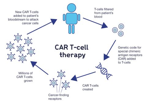 Unlocking The Mystery Of Long Lasting Cancer Treatment