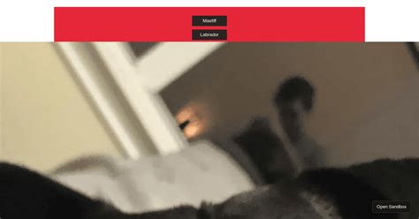 Styled Components Starter Codesandbox